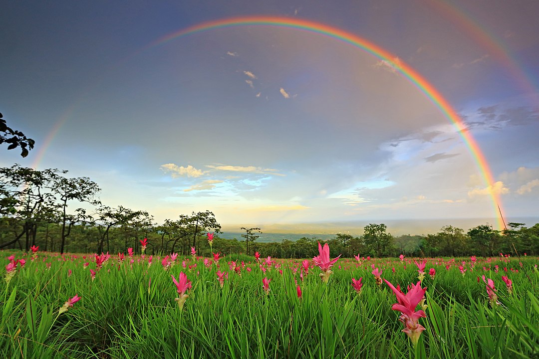 Le premier arc-en-ciel – Missionnaire anabaptiste